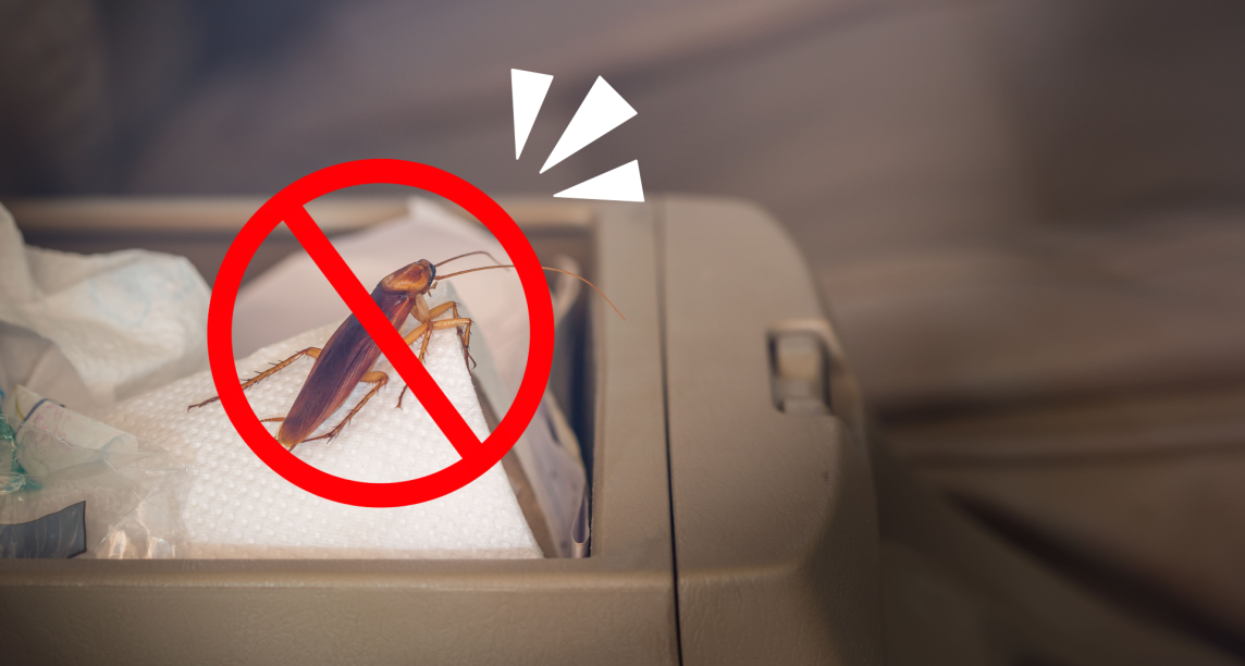 5 Tips for Preventing Ants & Cockroaches from Settling in Your Car ...