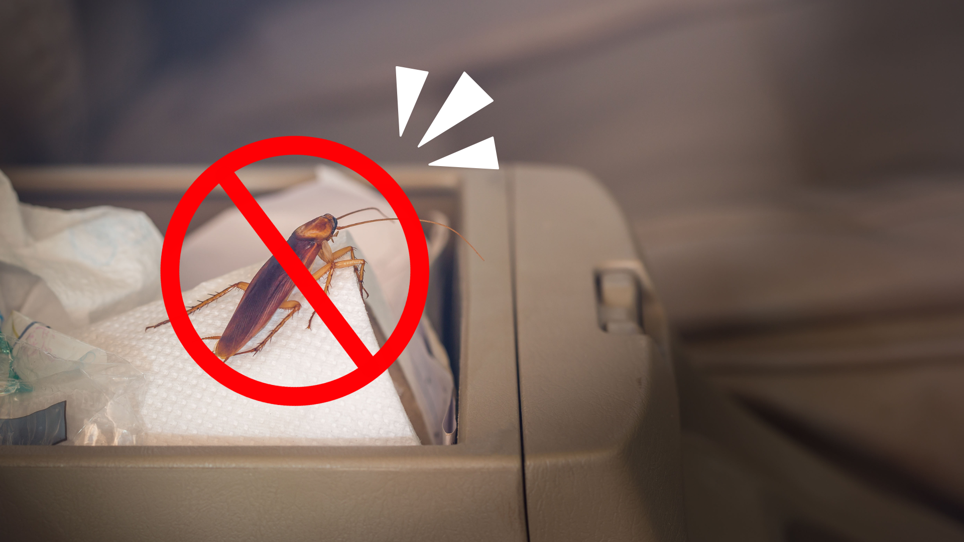 5 Tips for Preventing Ants & Cockroaches from Settling in Your Car ...
