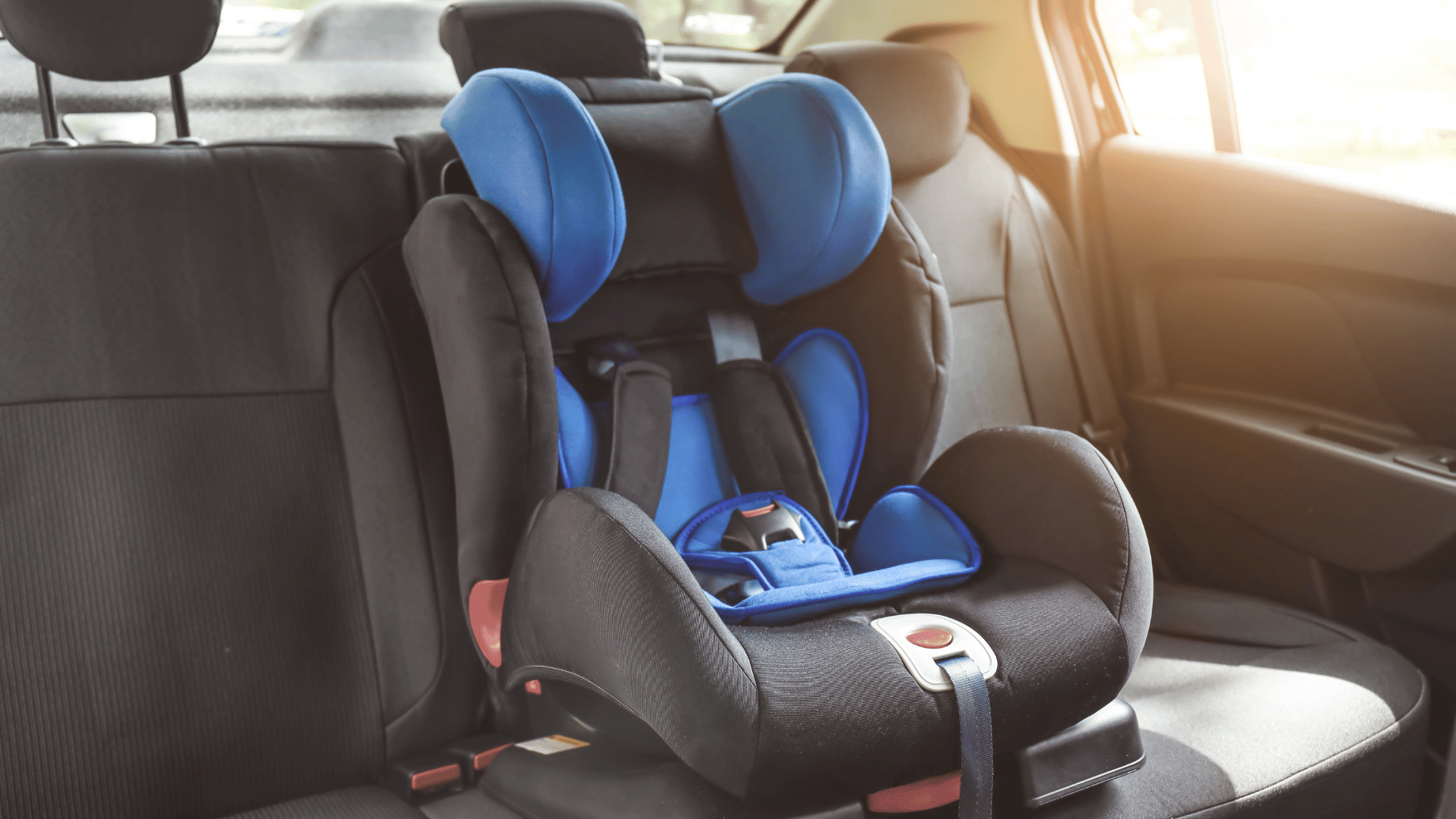 Is Your Car Suited for Your Lifestyle? - 7 Questions to Ask - Guard My Ride