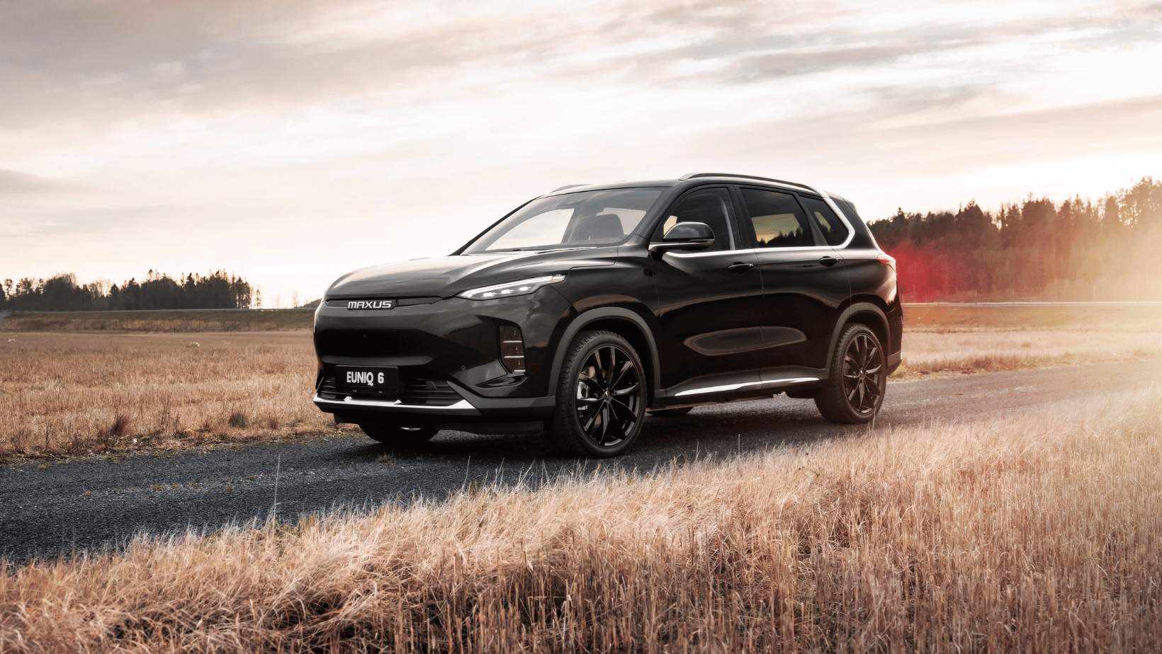 Exploring the Palette: The Most Popular Car Colors and Their Trends ...