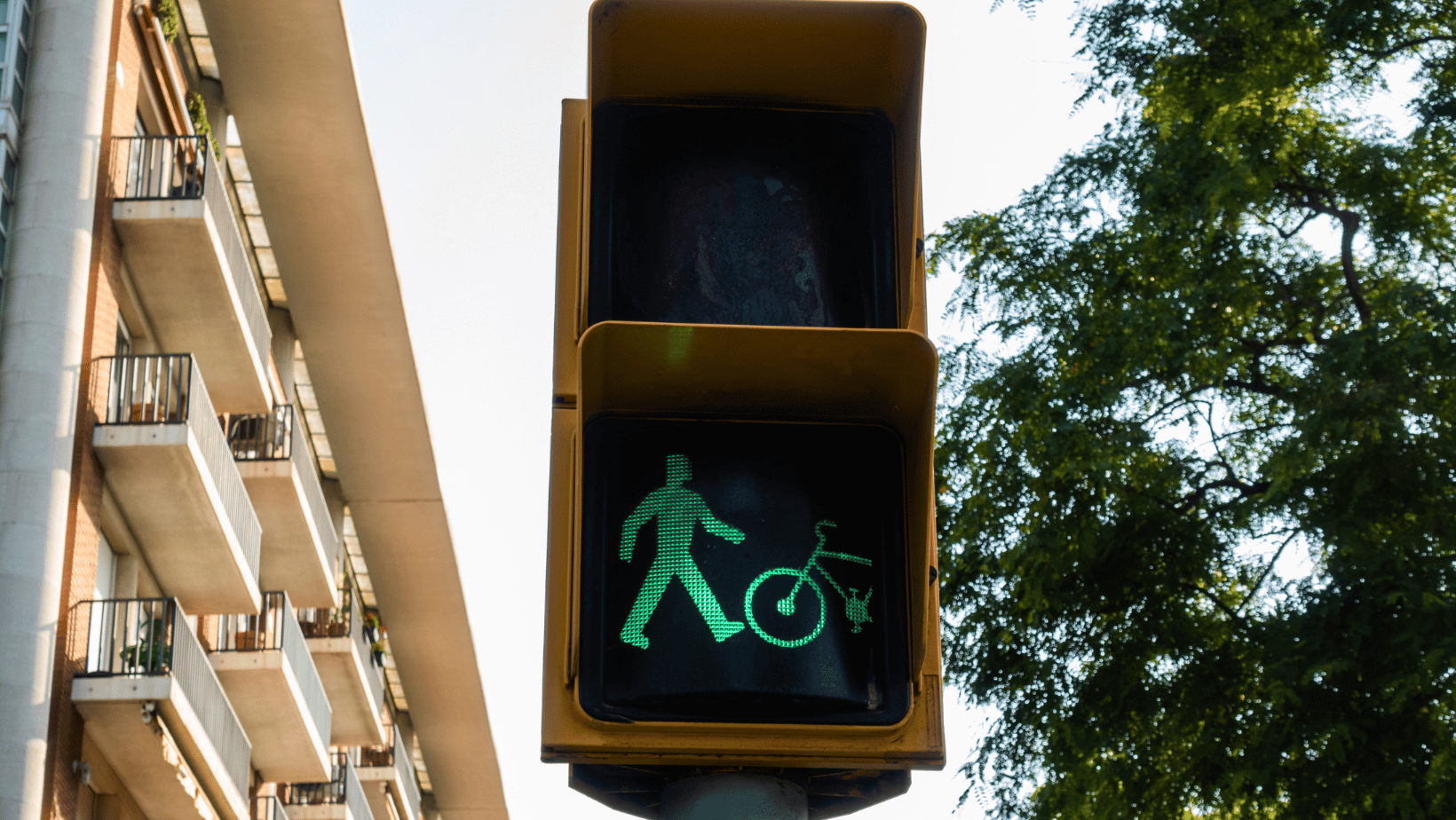 The Need for Speed Limits : Ensuring Safe Driving on the Roads - Guard ...